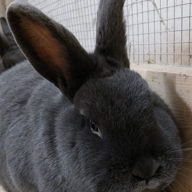 Graslandhof - Nachhaltige Bergbauernhof
